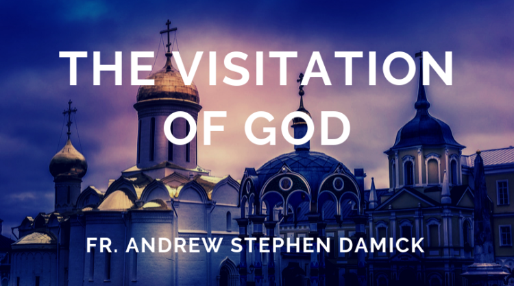 The Visitation of God — Fr. Andrew Stephen Damick